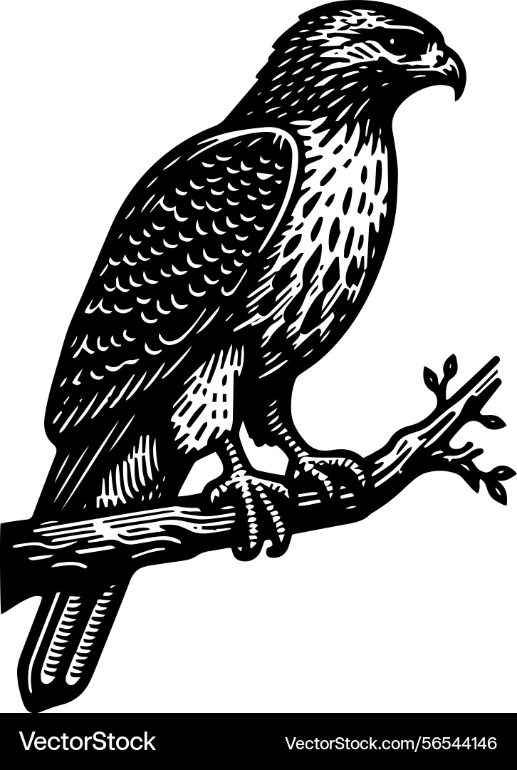 Simple red-tailed hawk perched icon vintage logo Vector Image
