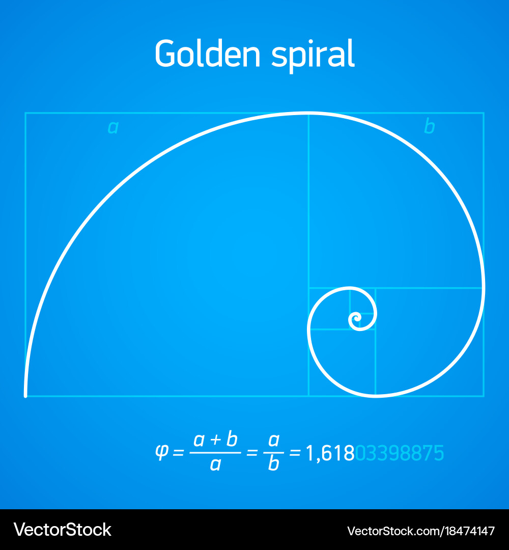 Golden ratio spiral with scheme Royalty Free Vector Image