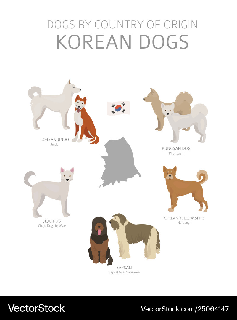 Korean Dog Breeds - Ursprung Lizenzfreies Vektorbild