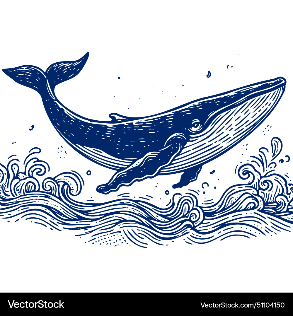 Blue whale is flying through the ocean Royalty Free Vector