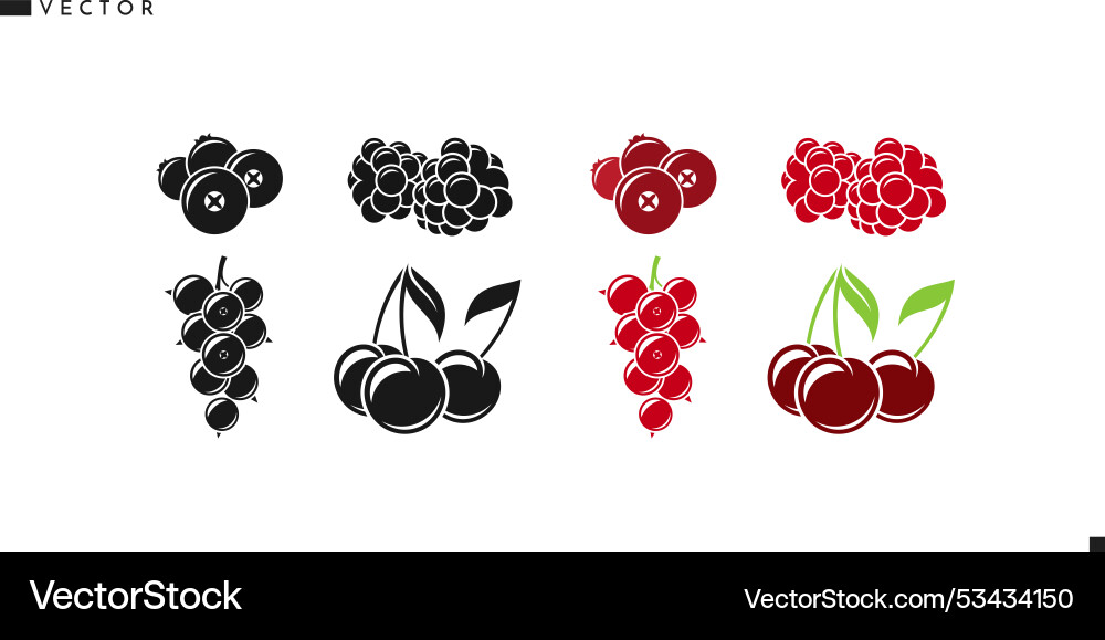 Fresh berries with leaves Royalty Free Vector Image
