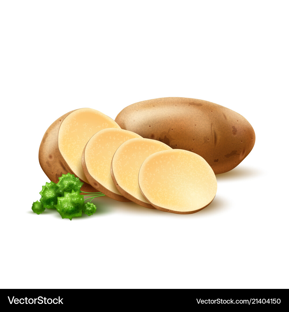 Realistic potato with leaves Royalty Free Vector Image