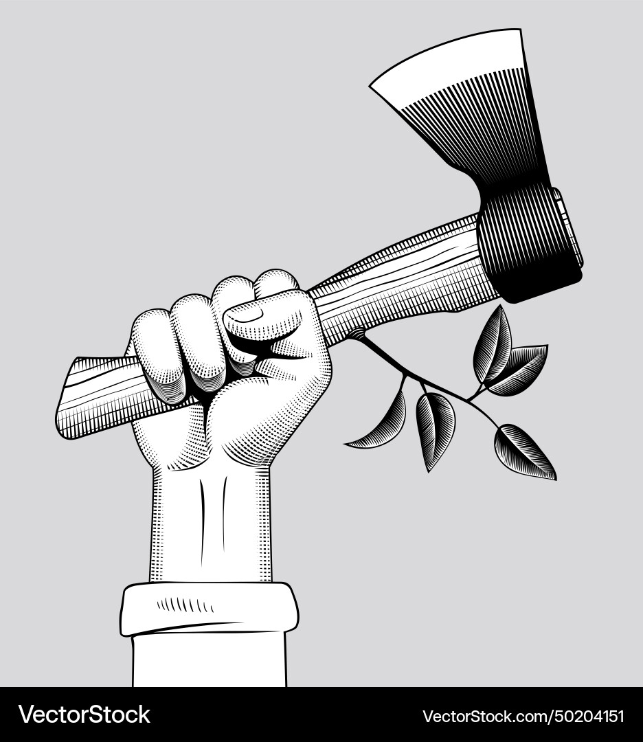 Black and white antique engraved drawing Vector Image