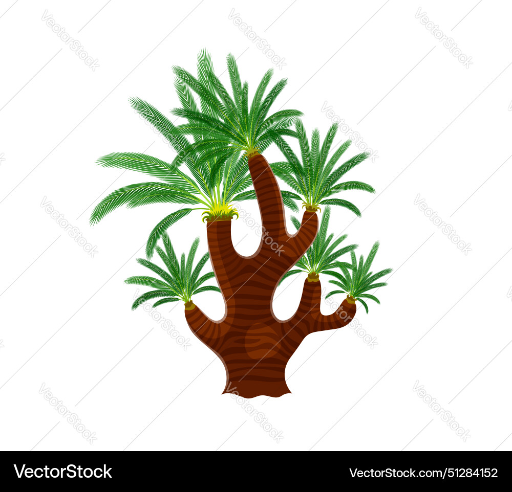 Cartoon jungle rainforest tree tropical plant Vector Image