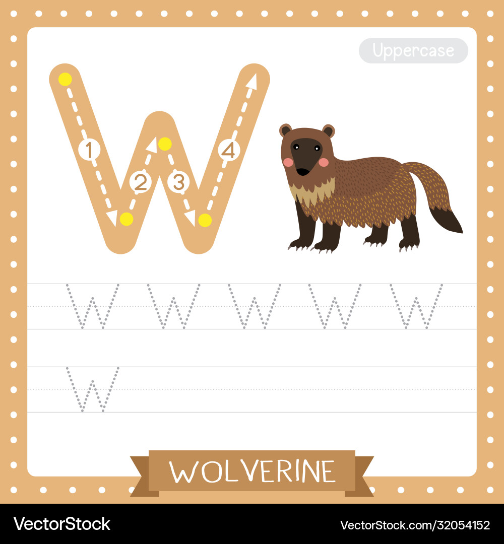 Letter w uppercase tracing practice worksheet Vector Image