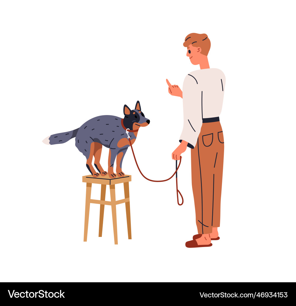 Canine trainer teaching dog pet owner training Vector Image
