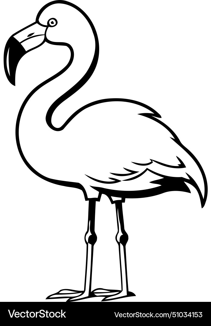 Flamingo in cartoon style isolated on white Vector Image