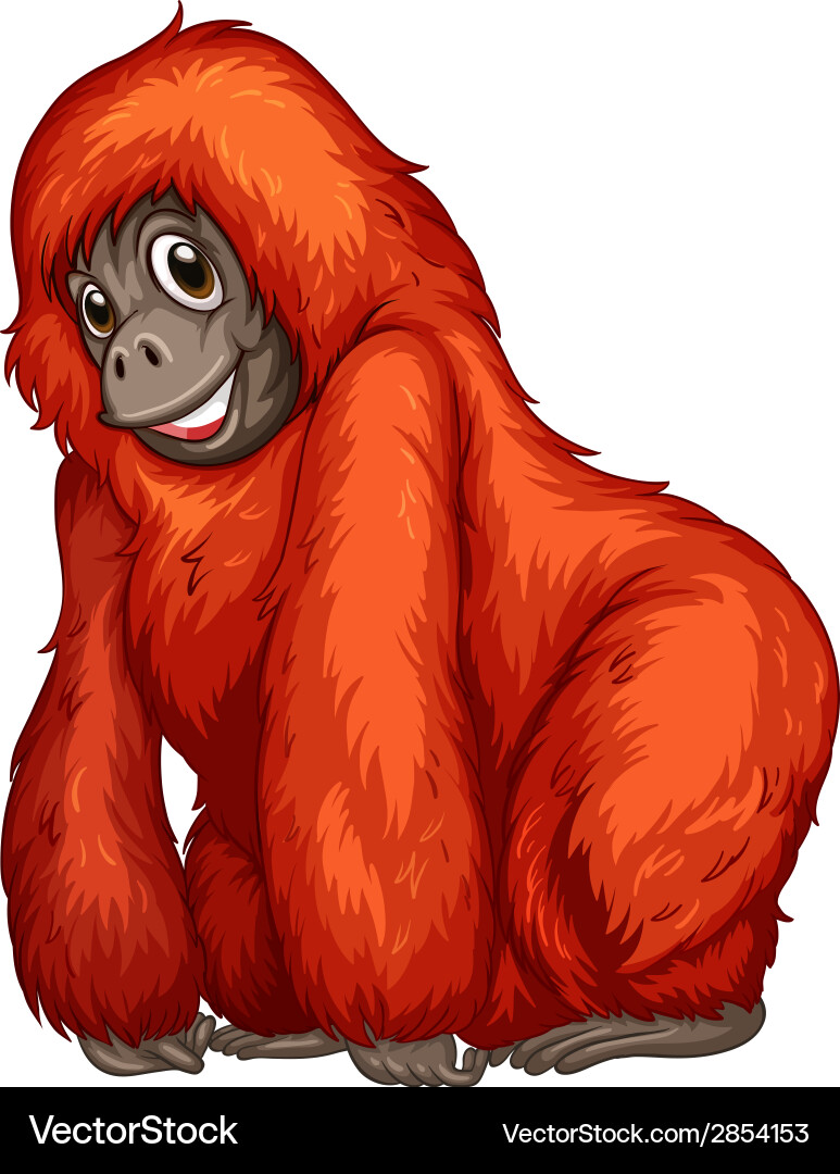 Orangutan Royalty Free Vector Image - VectorStock