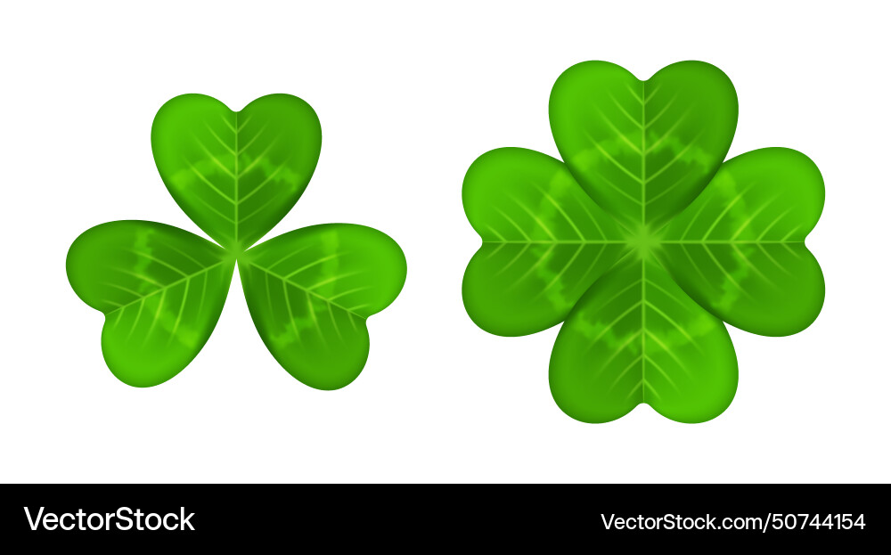 Realistic shamrock icon clover three leaves logo Vector Image