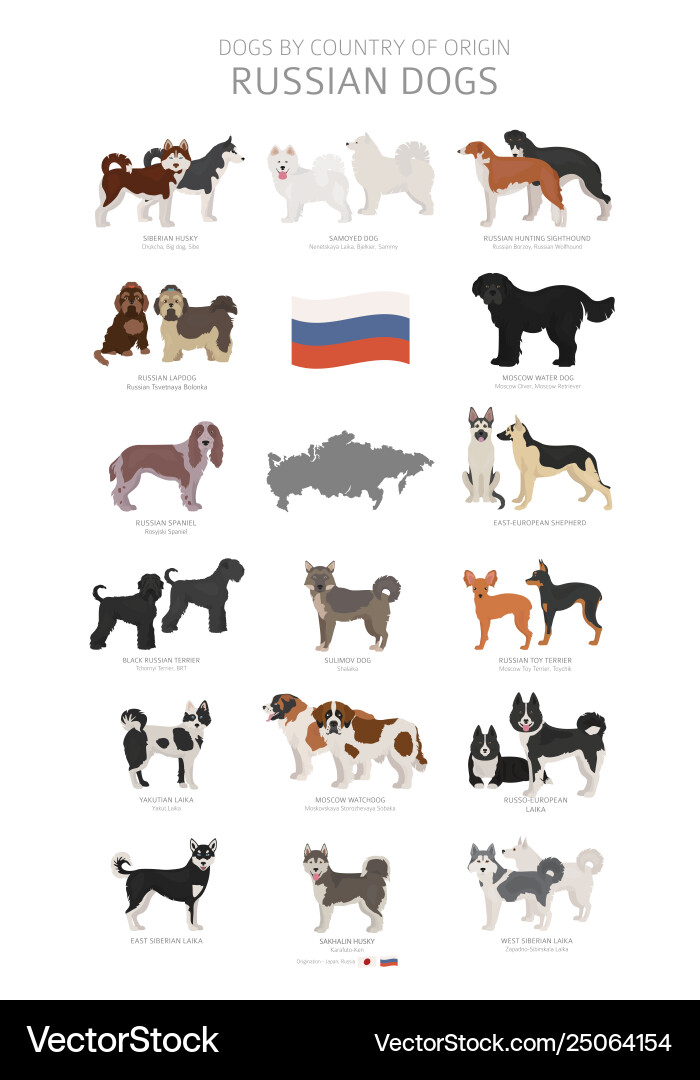 Russian Dog Breeds - Origin & Types Royalty Free Vector