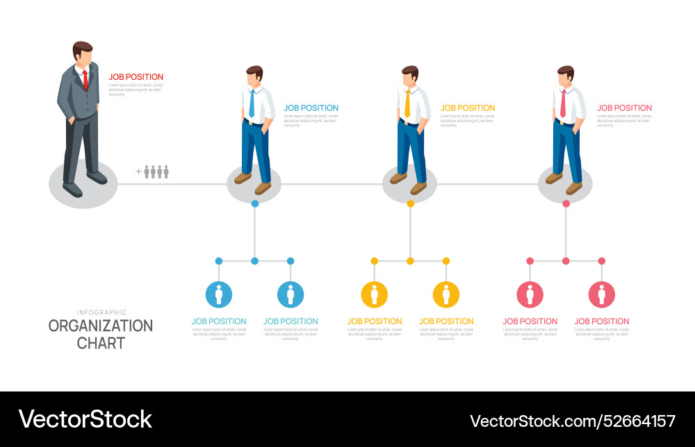 Organization structure diagram infographic Vector Image