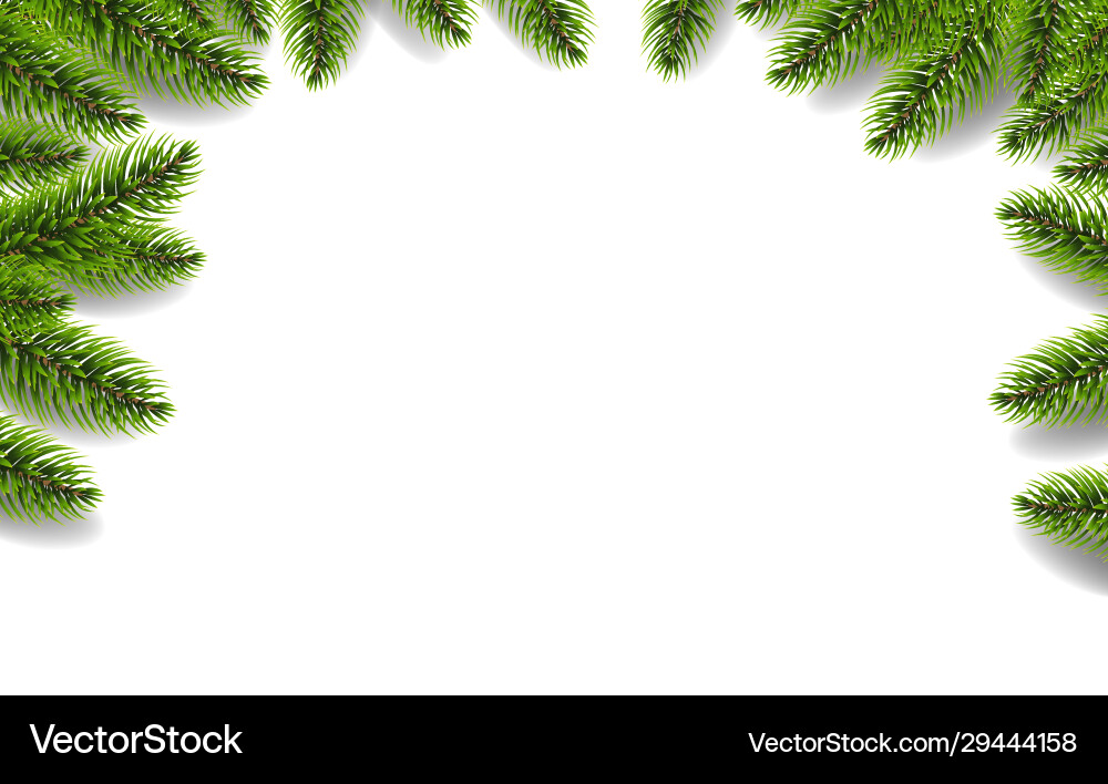Green fir tree border isolated white background Vector Image