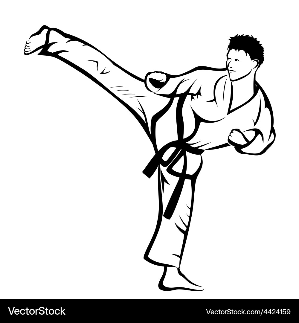 Karate kick Royalty Free Vector Image - VectorStock