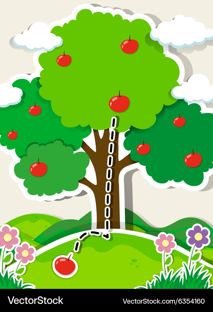 Apple falling from a tree Royalty Free Vector Image