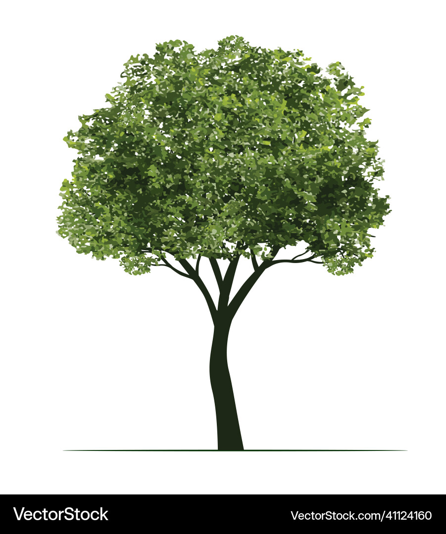 Green tree Royalty Free Vector Image - VectorStock