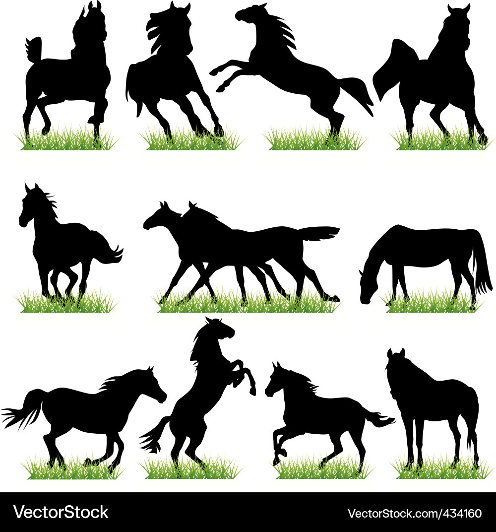 Horses Royalty Free Vector Image - VectorStock