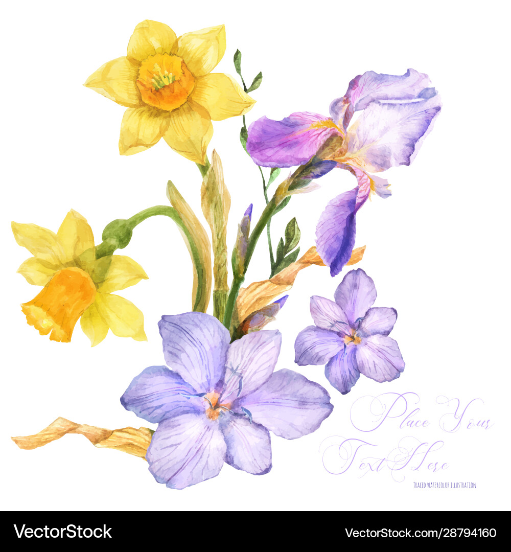 Spring watercolor bouquet with flowers Royalty Free Vector
