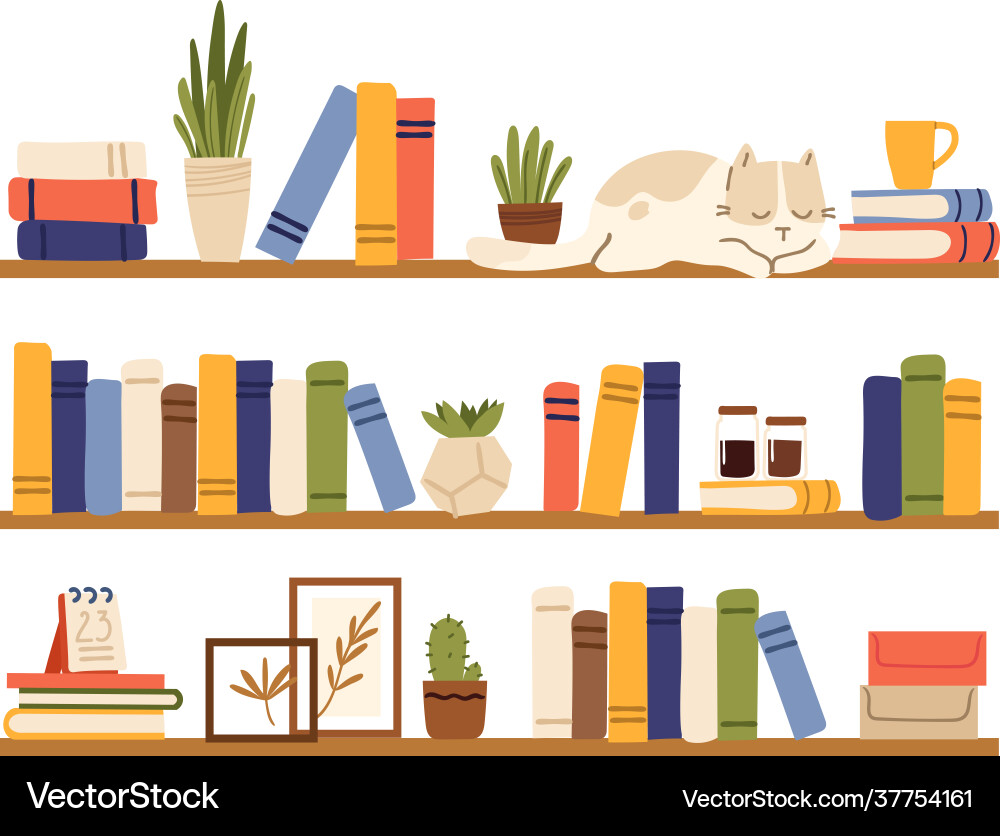 Book shelves rack books interior bookshelf Vector Image