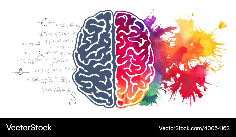 Left and right hemisphere of human brain Vector Image
