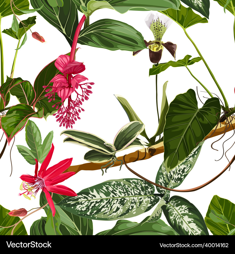 Red Passion Flower Pattern Royalty Free Vector Image