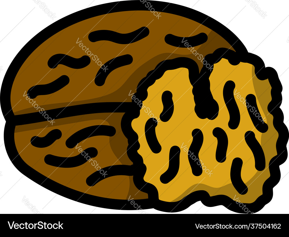 Walnut icon Royalty Free Vector Image - VectorStock
