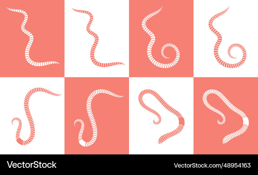 Earthworm Royalty Free Vector Image - VectorStock