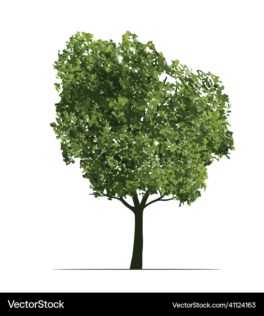 Green tree Royalty Free Vector Image - VectorStock