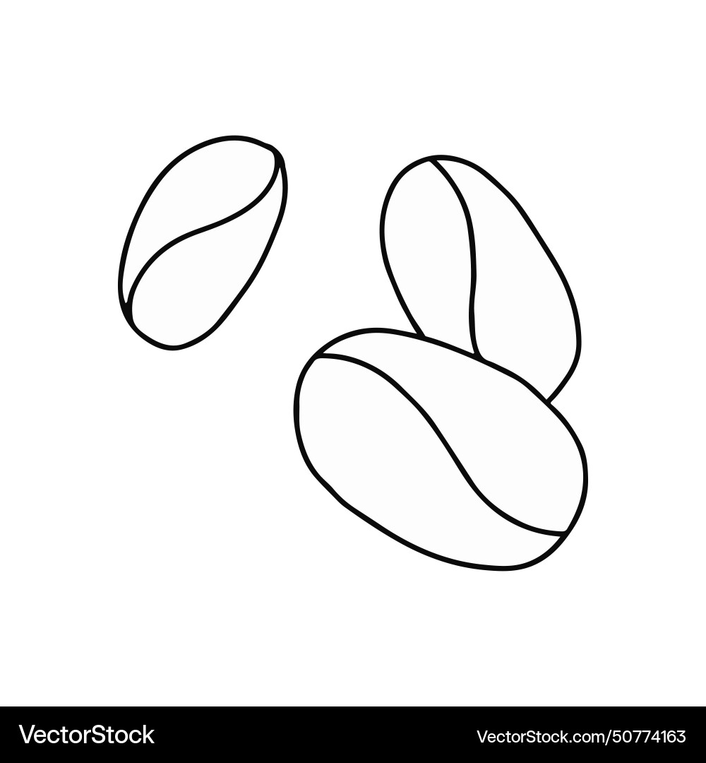 Simple hand-drawn doodle of three coffee beans Vector Image