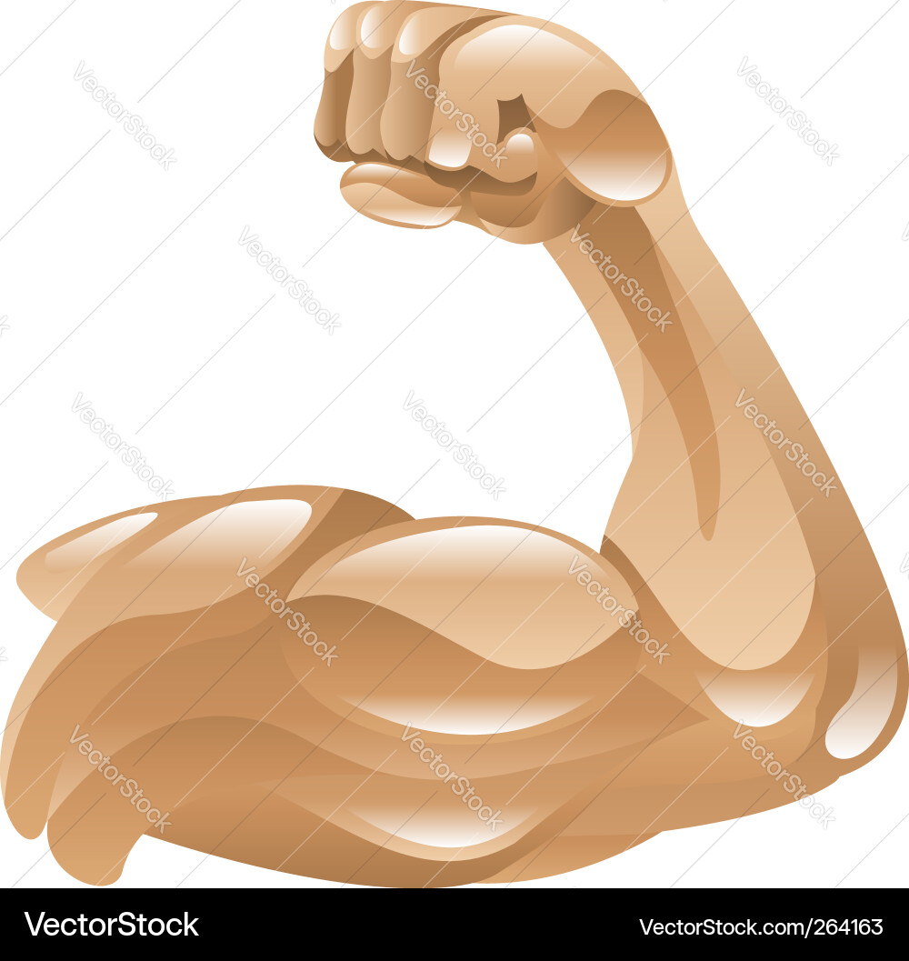Strong muscular arm Royalty Free Vector Image - VectorStock