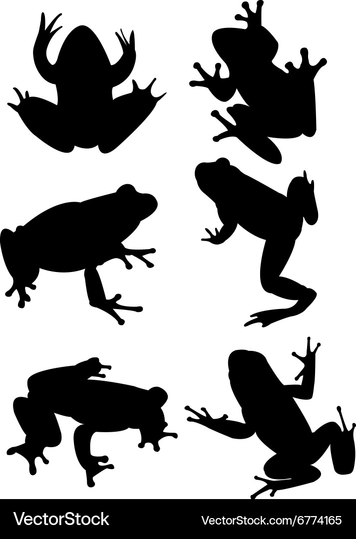 Frogs Royalty Free Vector Image - VectorStock