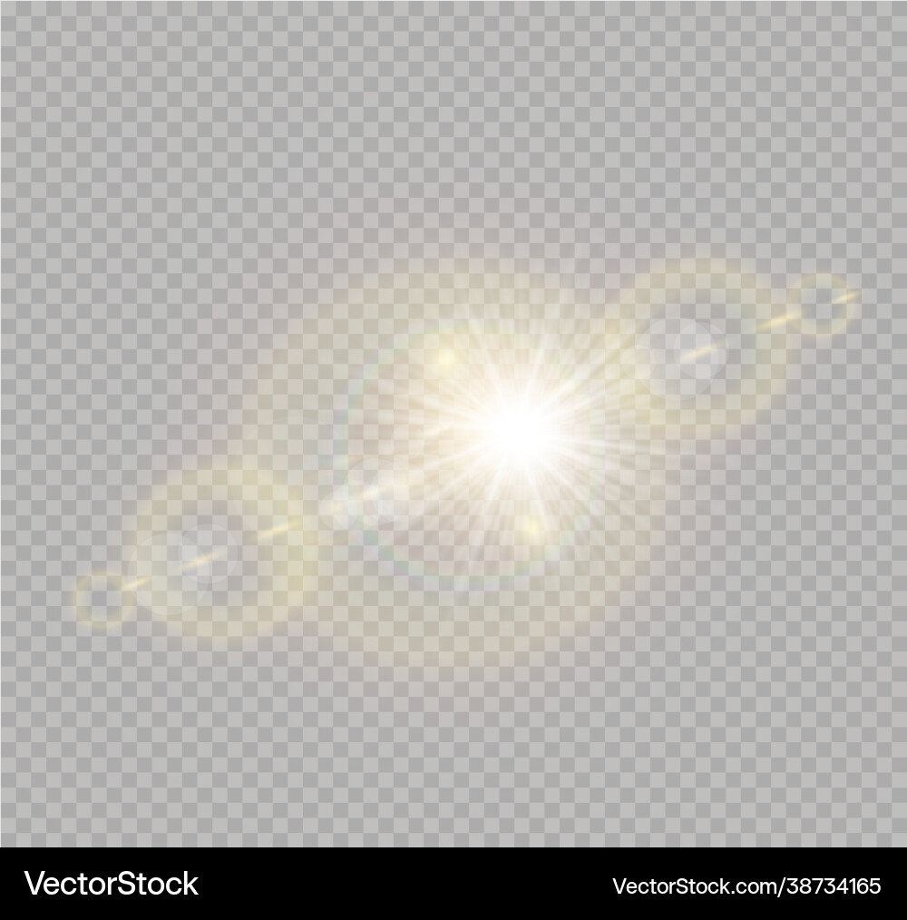 Sunlight special lens flash light effect sun Vector Image