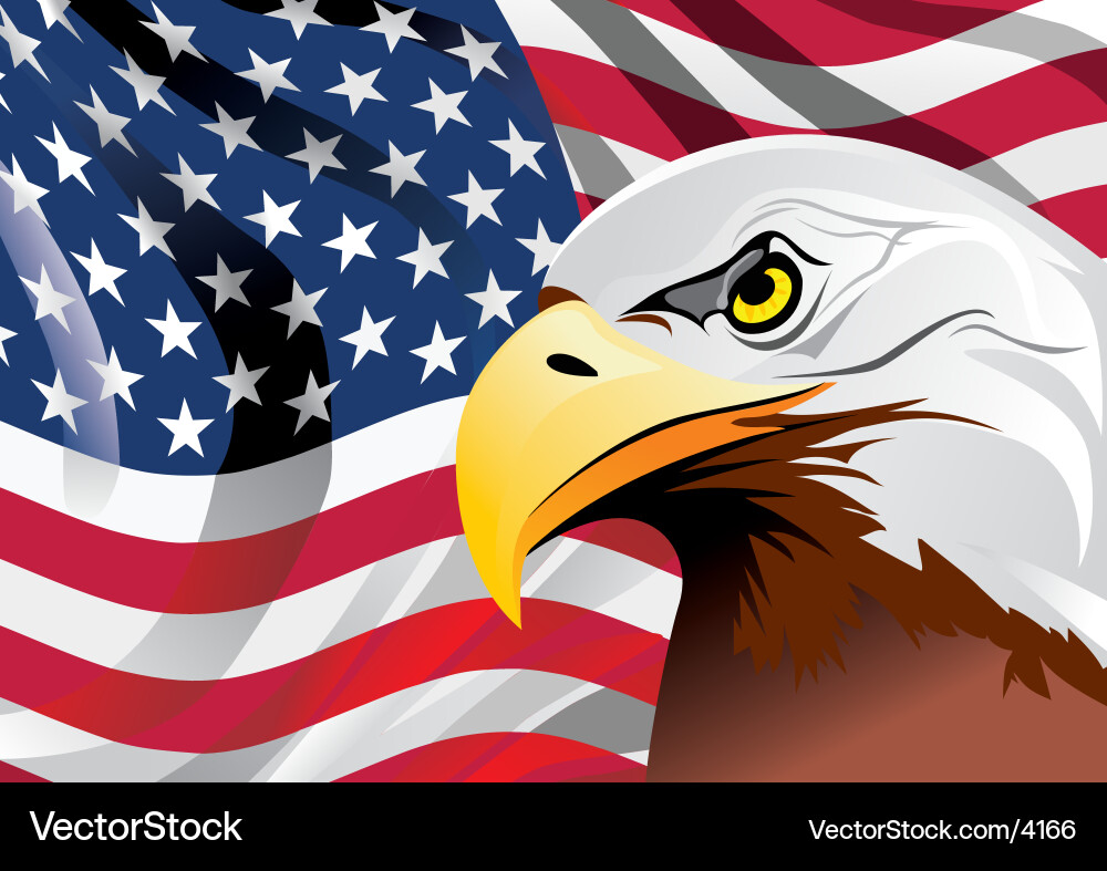 Flag Royalty Free Vector Image - VectorStock