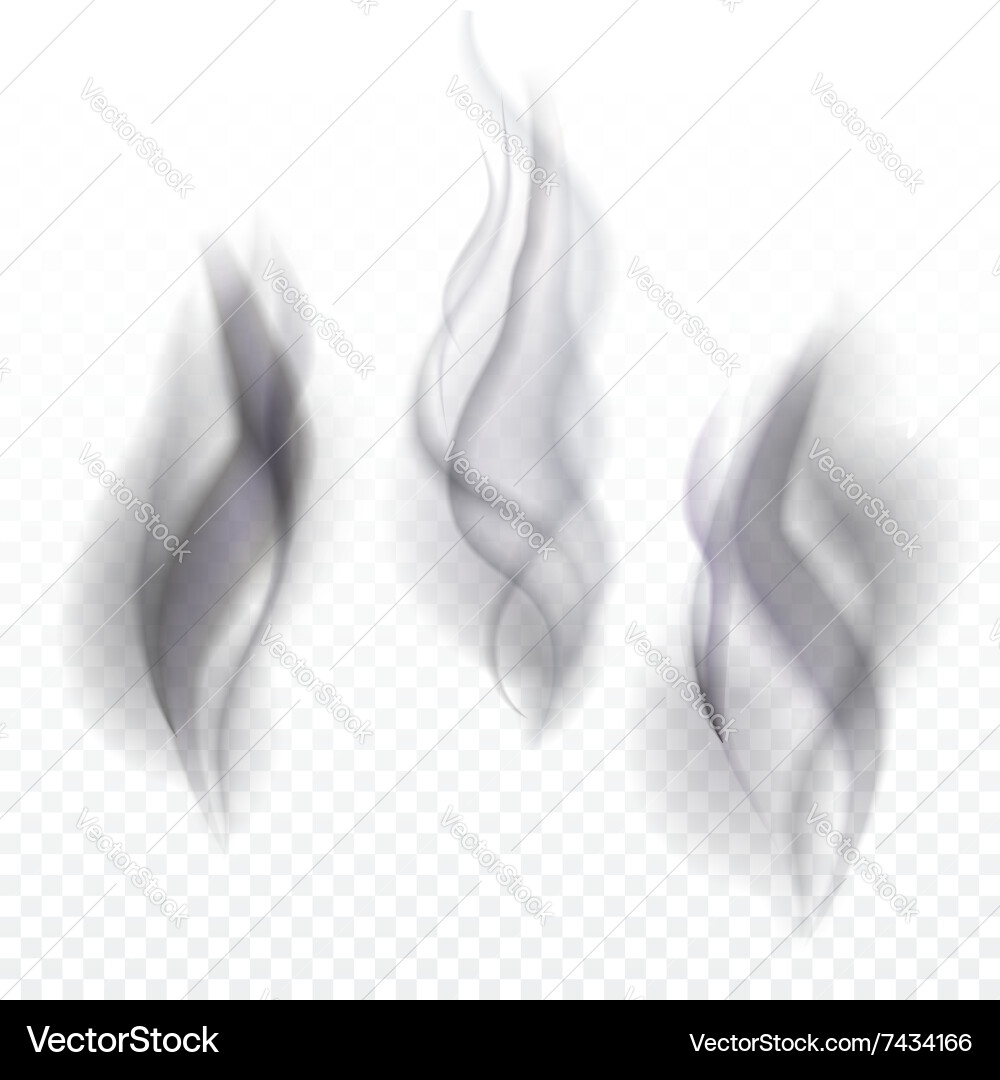 Smoke waves transparent Royalty Free Vector Image