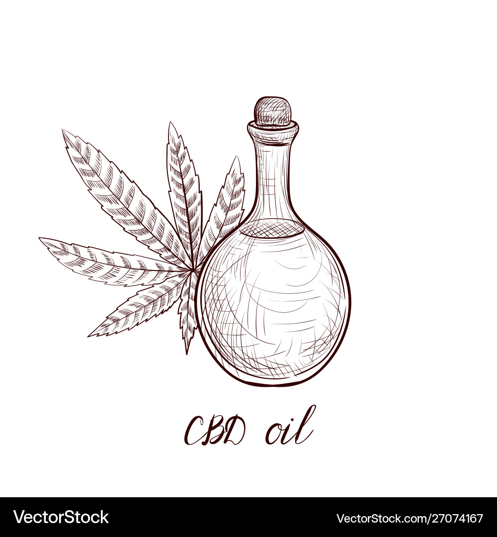 CBD Oil Drawing - Hemp & Leaf Royalty Free Vector Image