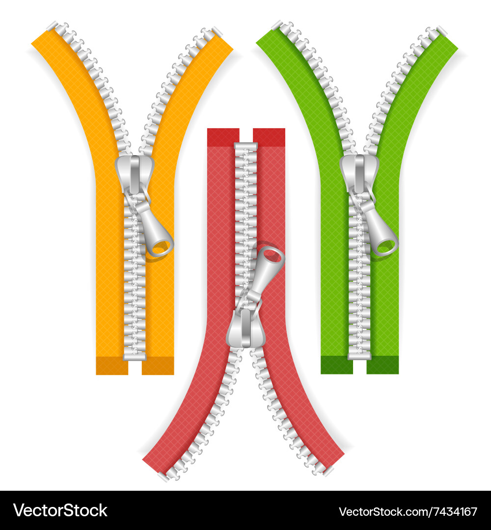 Clothes zip set Royalty Free Vector Image - VectorStock