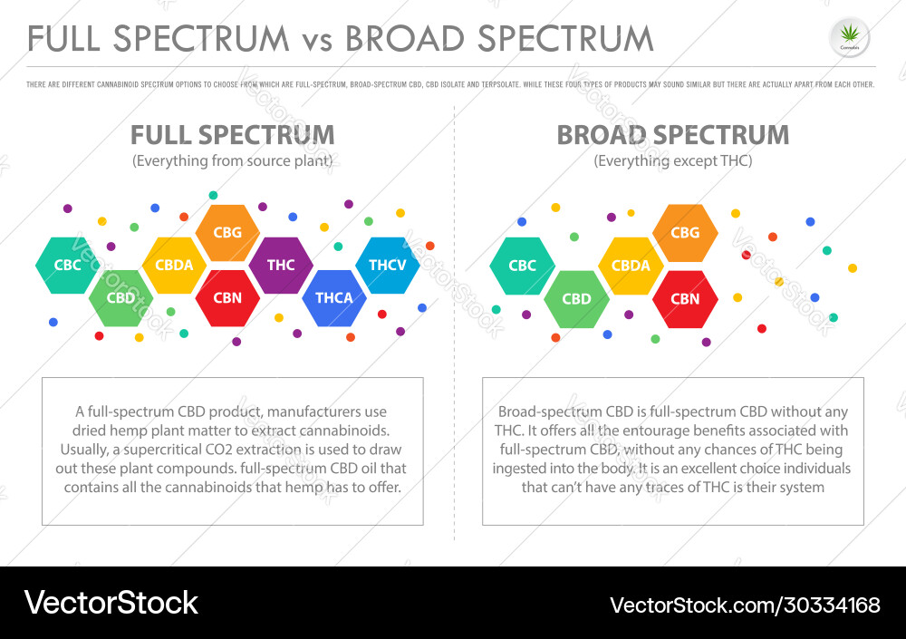 Full spectrum vs broad horizontal Royalty Free Vector Image
