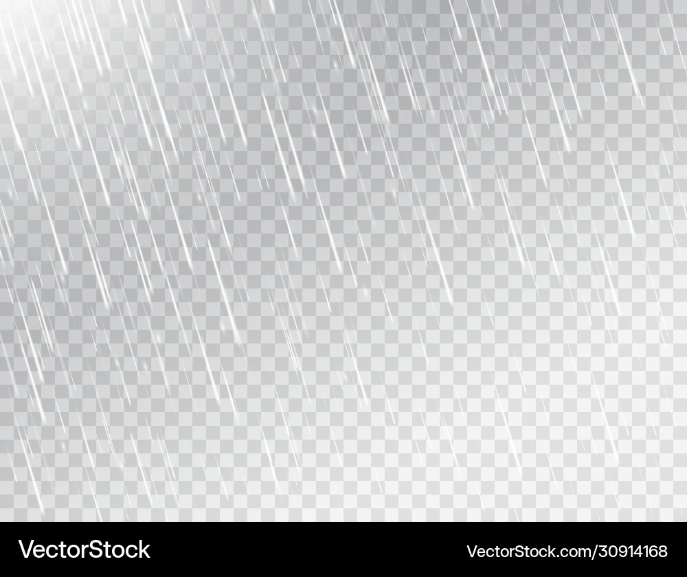Rain on white transparent background rainfall Vector Image