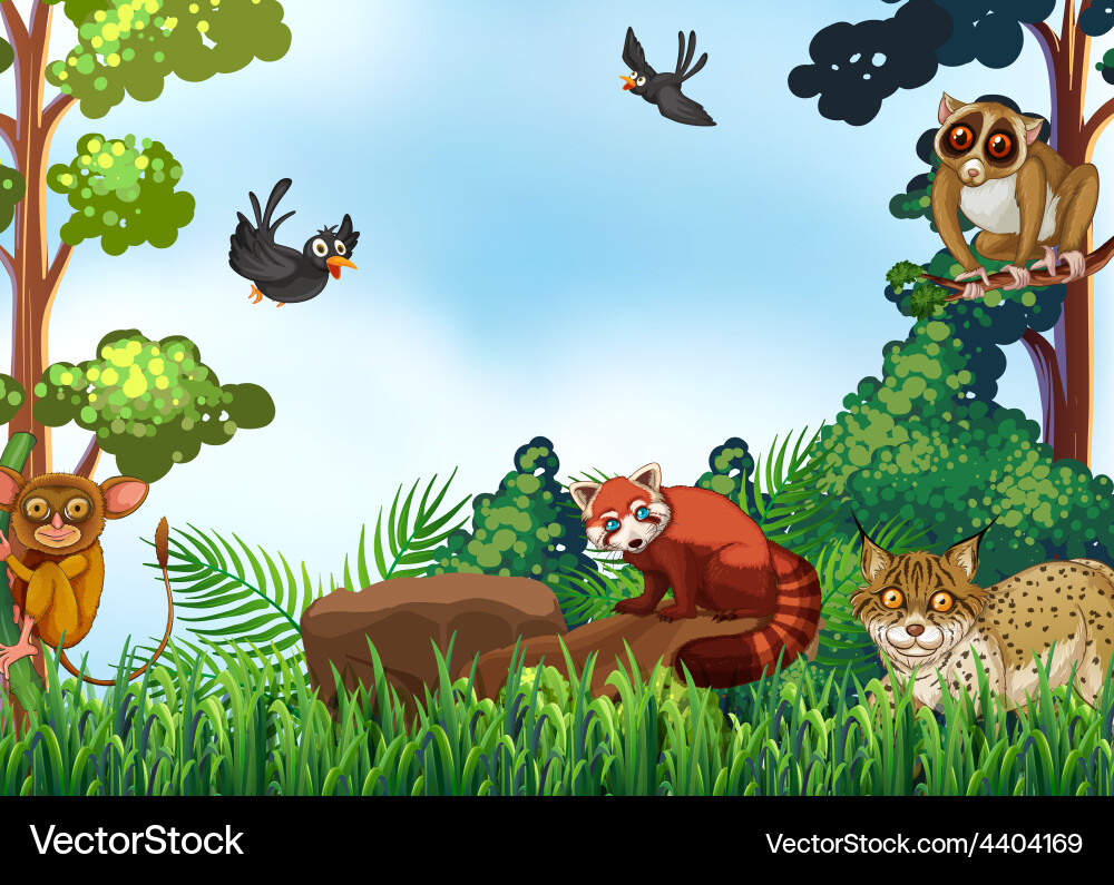 Animals Royalty Free Vector Image - VectorStock