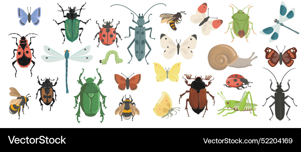 Drawing set of insects Royalty Free Vector Image