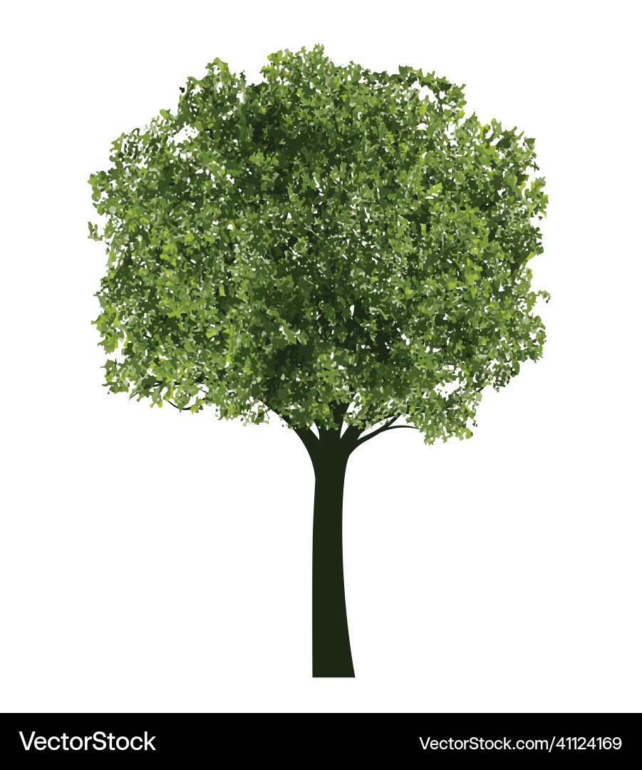 Green tree Royalty Free Vector Image - VectorStock