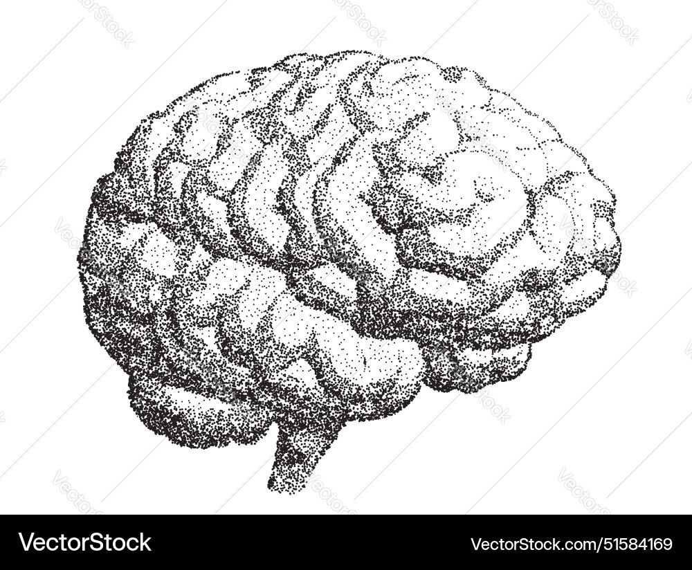 Human brain half turn view isolated on white Vector Image