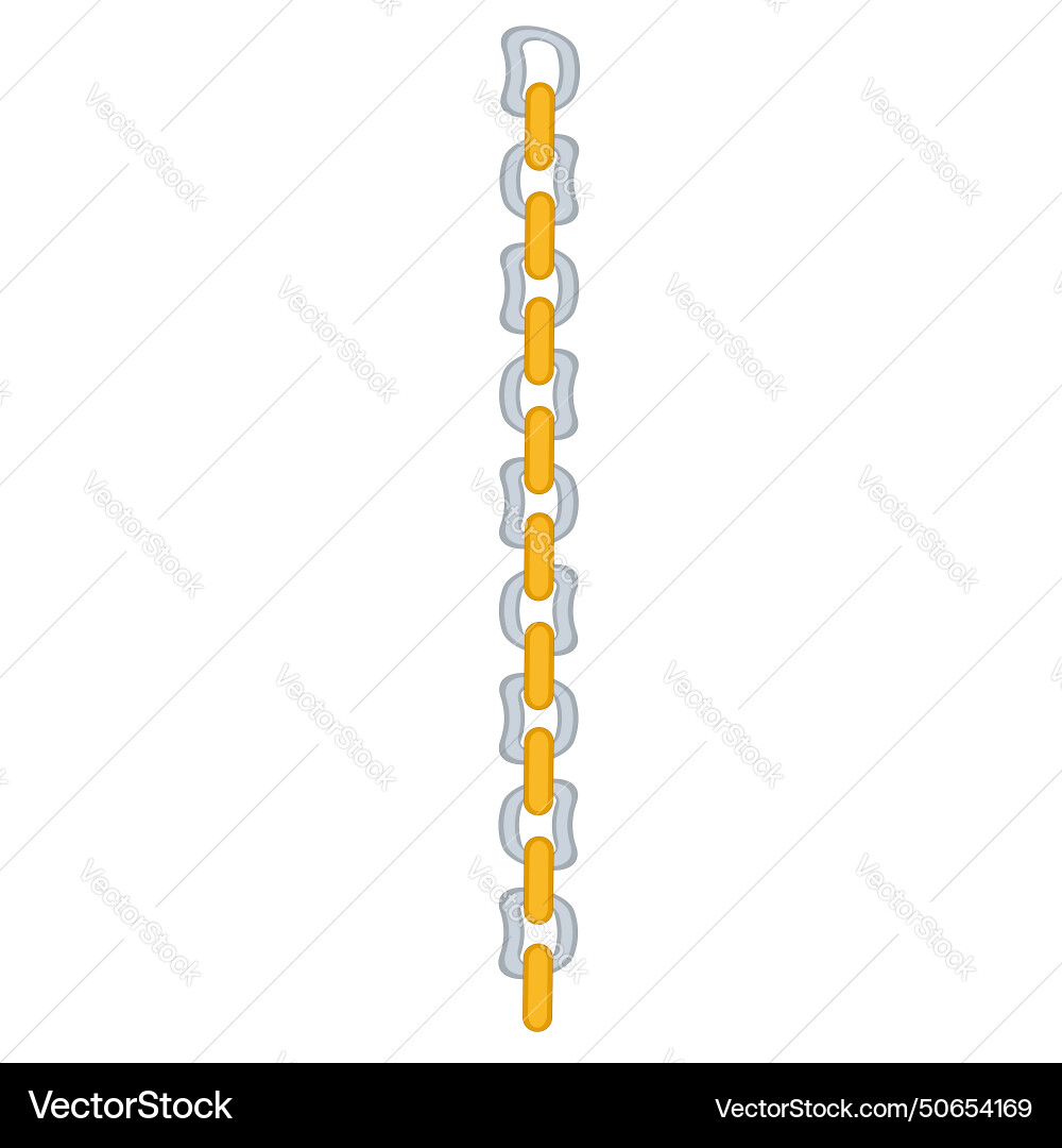 Silver and gold chain jewelry icon Royalty Free Vector Image