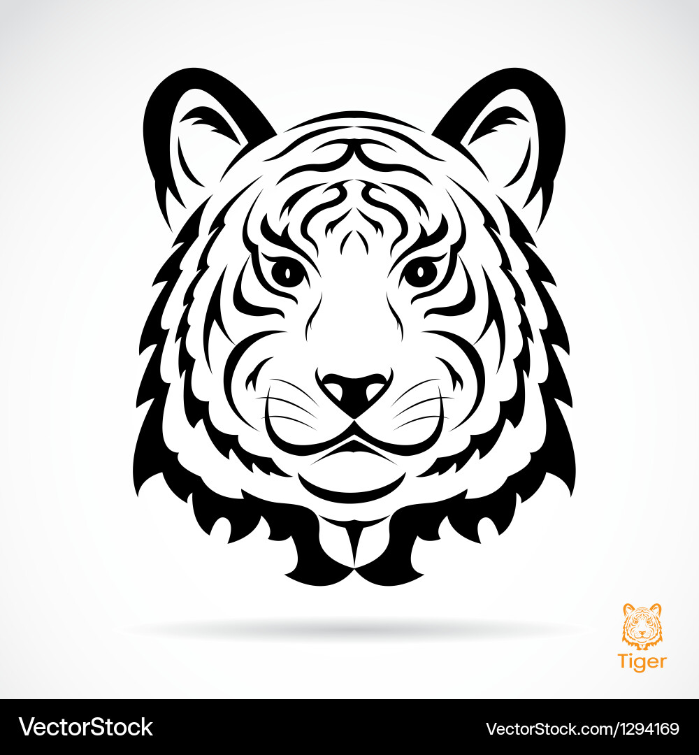 Tiger Royalty Free Vector Image - VectorStock
