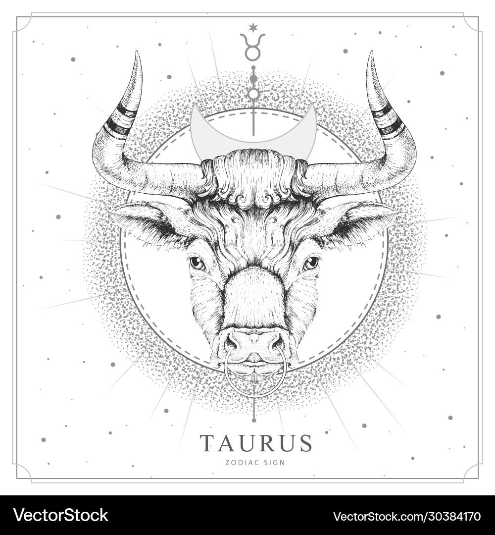 Magic witchcraft card with taurus zodiac sign Vector Image