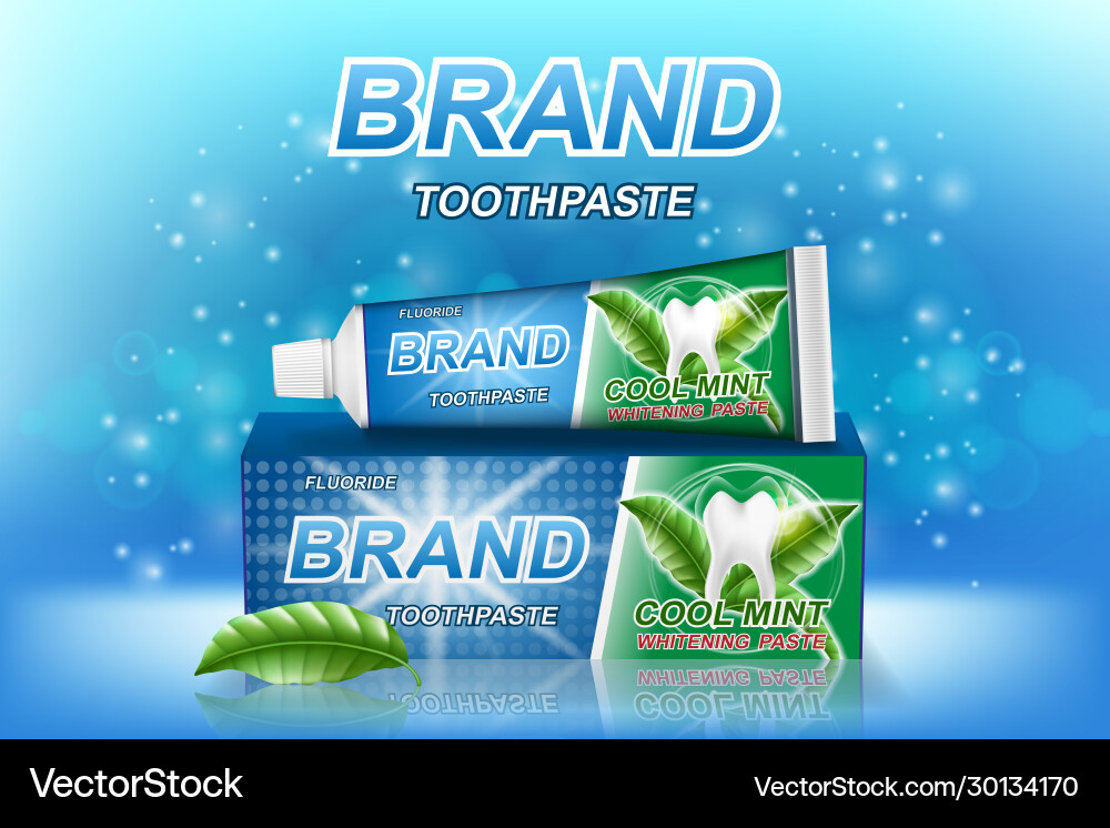 Mint toothpaste ads tooth model and product Vector Image