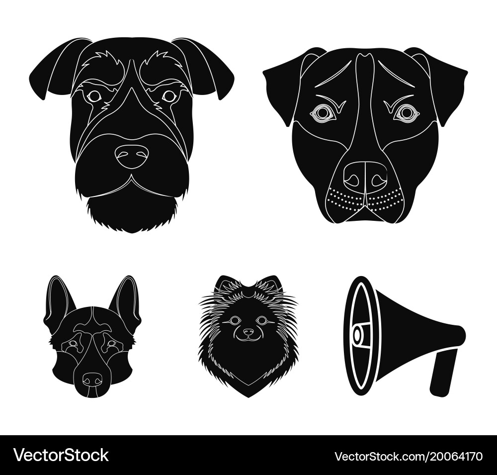 Muzzle of different breeds dogsdog breed Vector Image