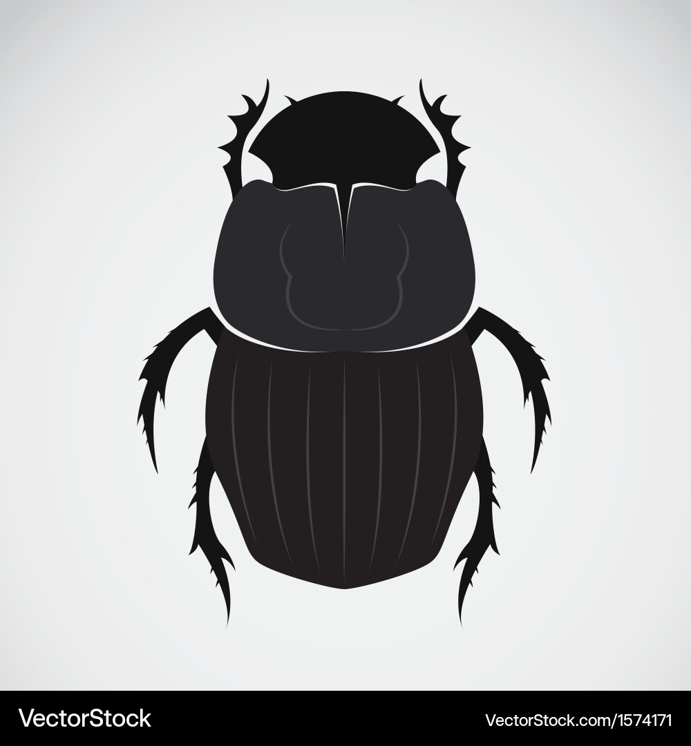 Beetle Royalty Free Vector Image - VectorStock