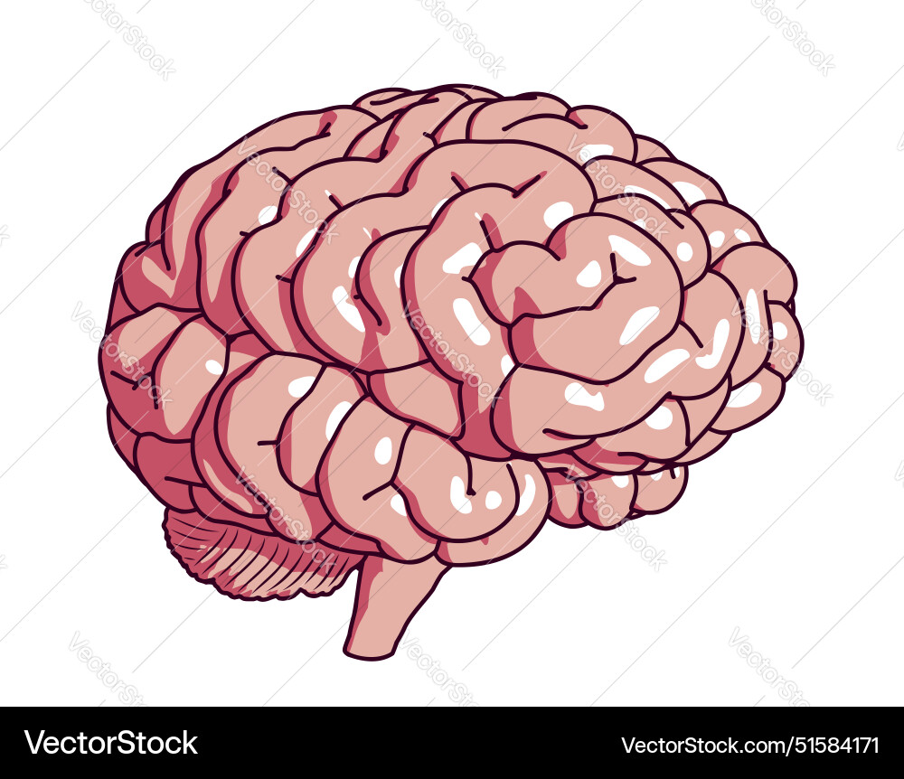 Brain Cartoon Vector Images (over 48,000)