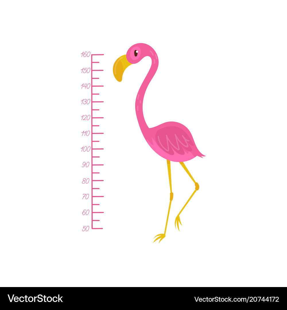 Cute Flamingo Height Chart Royalty Free Vector Image