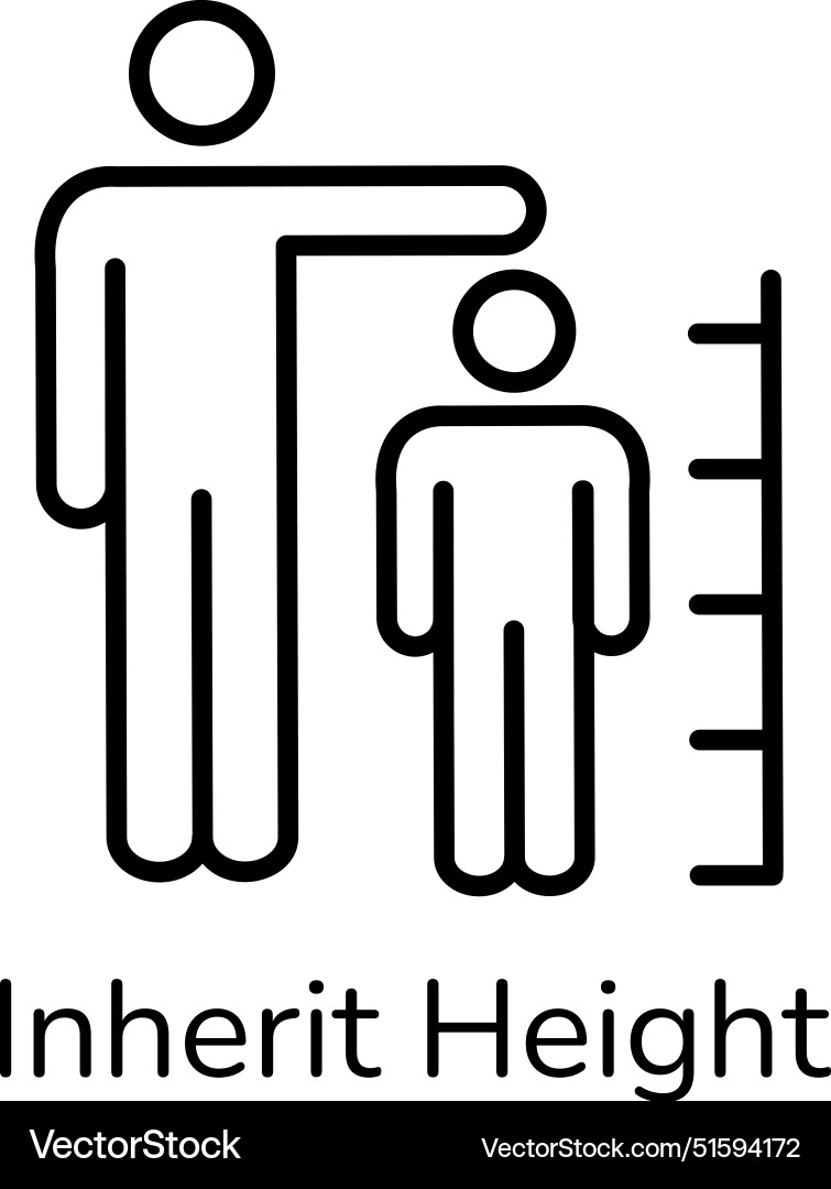 Inherit height Royalty Free Vector Image - VectorStock
